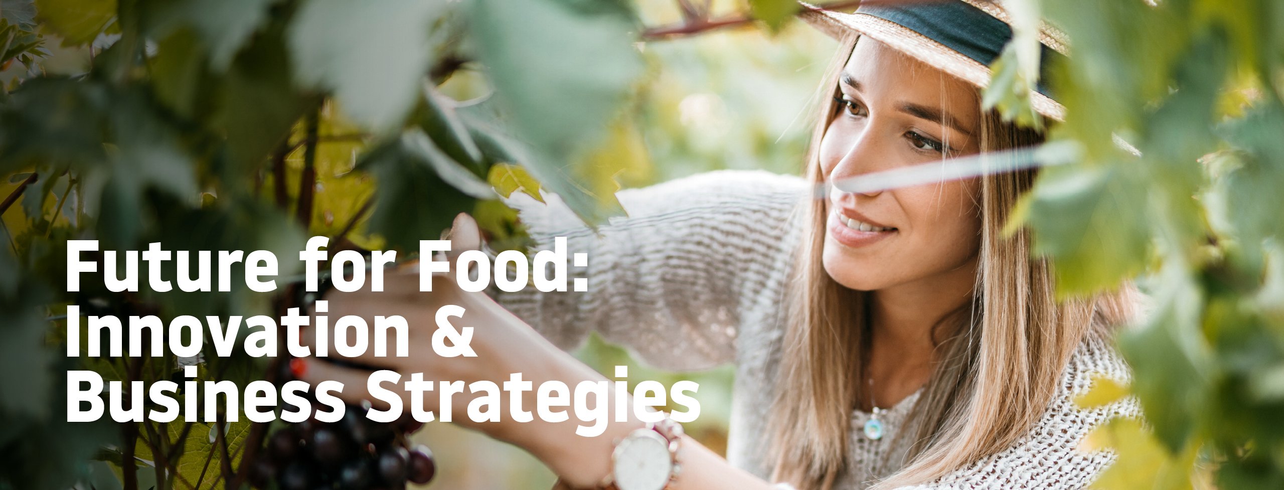 Future for Food: Innovation & Business Strategies Master - UNISG ...