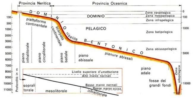 La Pesca - UNISG - University of Gastronomic Sciences