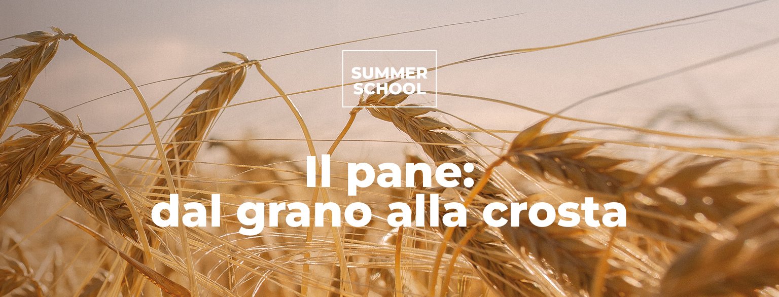 Il pane: dal grano alla crosta - UNISG - University of Gastronomic Sciences