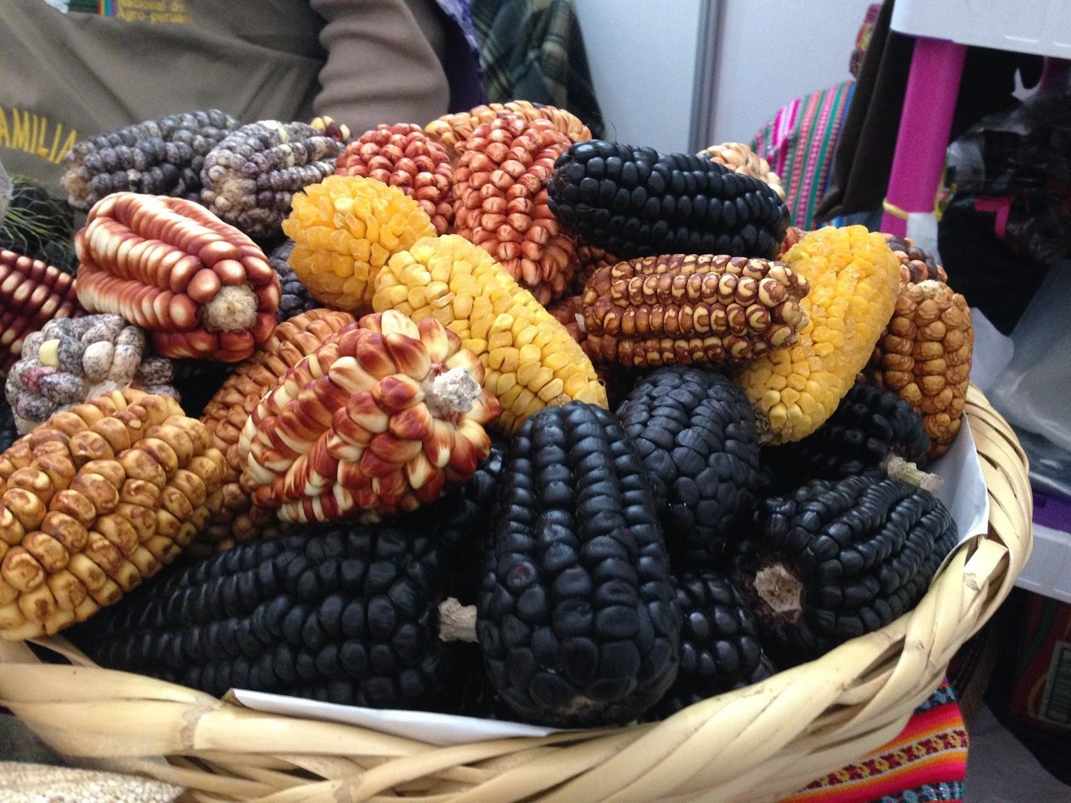 Ark of Taste - UNISG - University of Gastronomic Sciences
