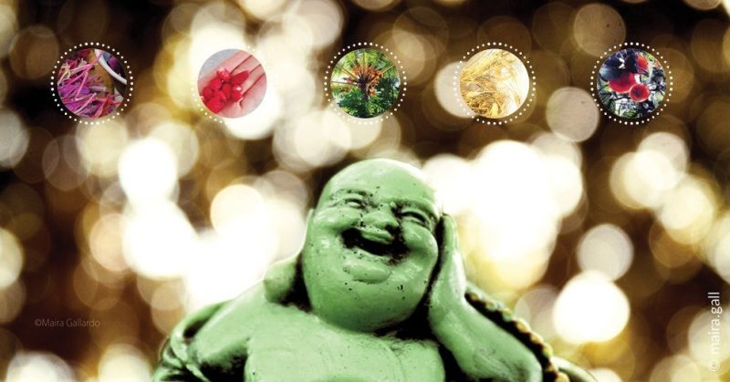 Food and Buddhism: From the Elimination of Desire to Practice Towards ...