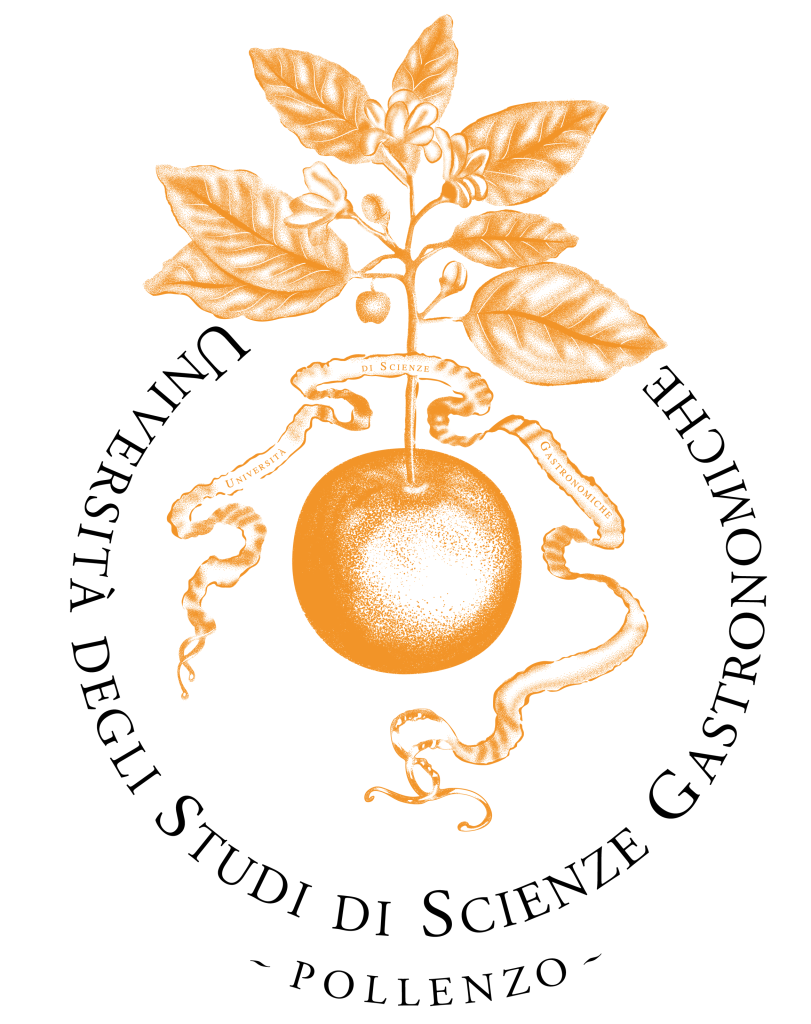 Foundation Year of Gastronomic Sciences: Immerse Yourself in the ...